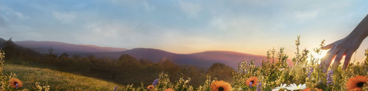 New – Jurlique Australia