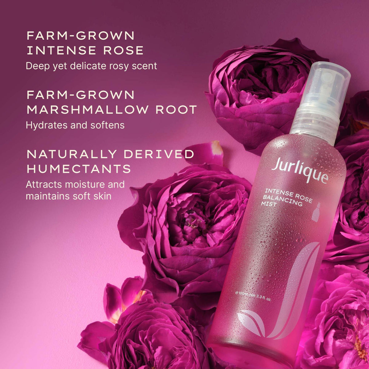 Limited Edition Intense Rose Balancing Mist – Jurlique Australia