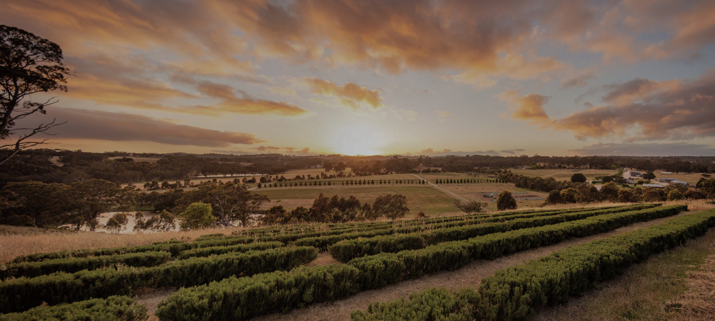 Our Farm – Jurlique Australia